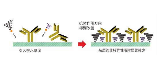 NHS Magnetic Beads Kit (2μm)-Pre-activated Magnetic Beads-无锡迈嘉赫生物科技有限公司 ...