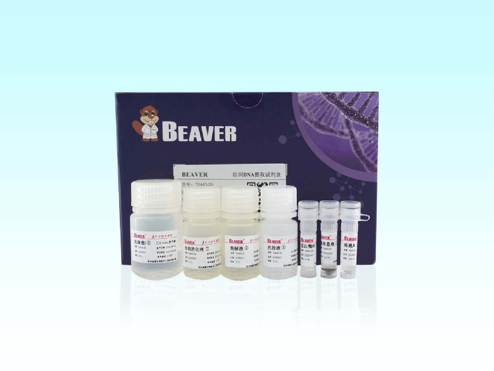Tissue DNA Extraction Kit-Series of Magnetic Beads for Nucleic Acid ...