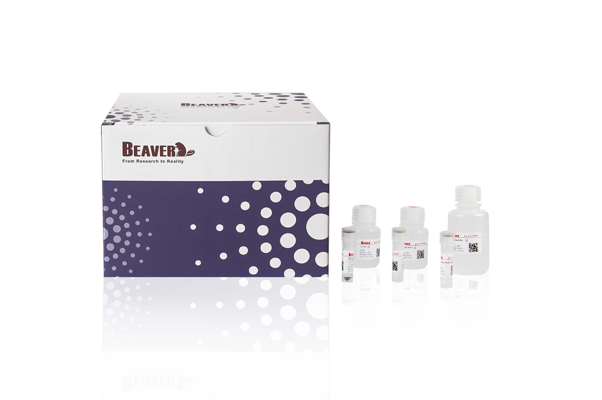Protein A/G Antibody Purification Kit-Magnetic Beads for Protein ...
